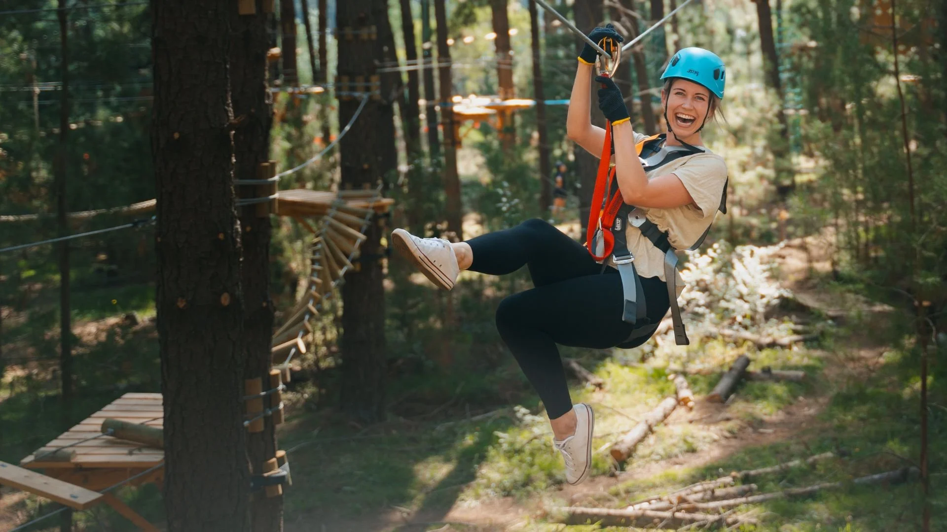 Treetops Majura Pines — Wildbark
