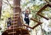 Treetops Majura Pines — Wildbark