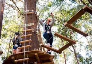 Treetops Majura Pines — Wildbark