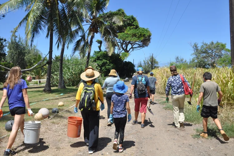 Volunteer — Hawaiʻi Land Trust