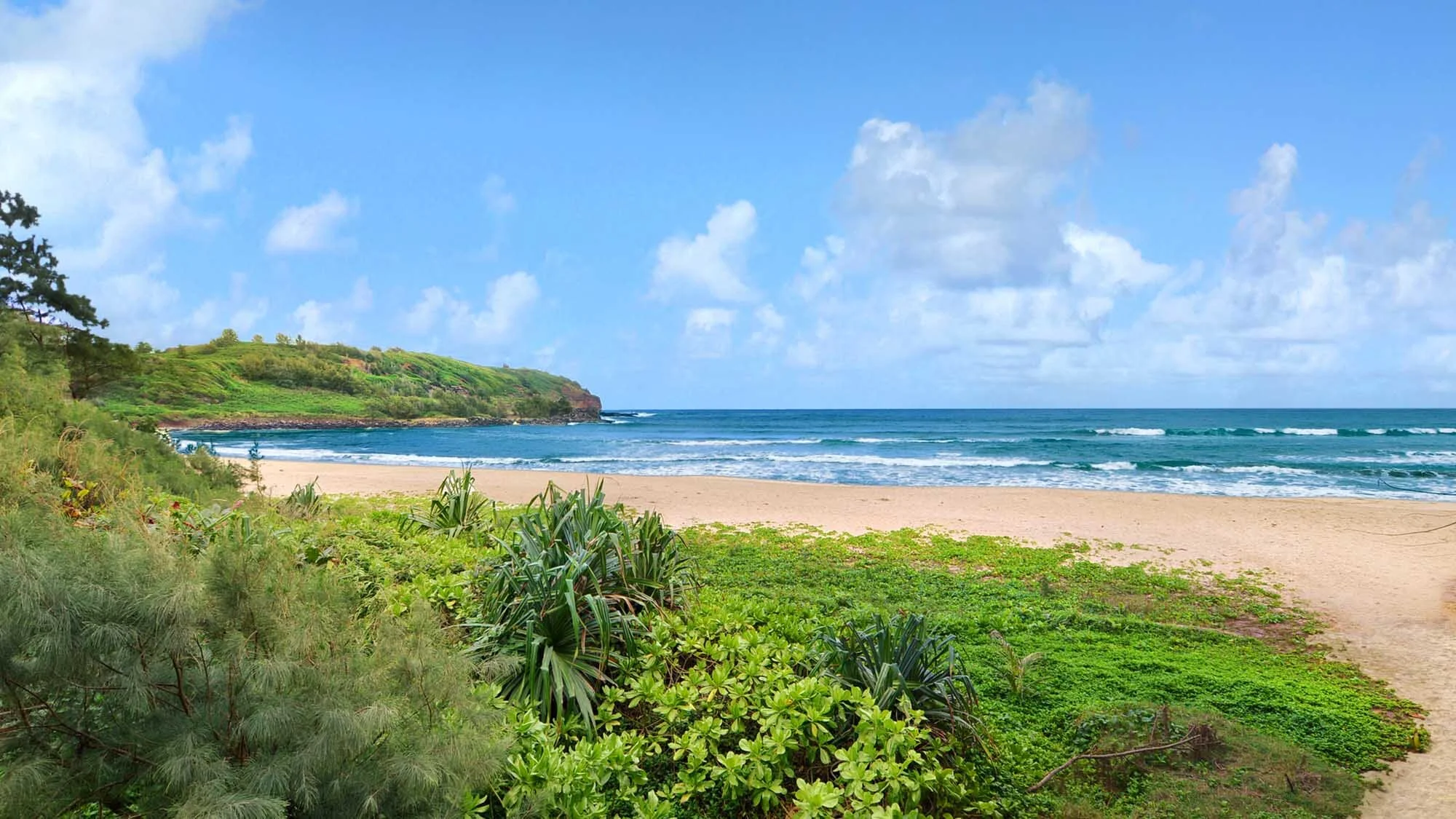 HILT Preserves — Hawaiʻi Land Trust