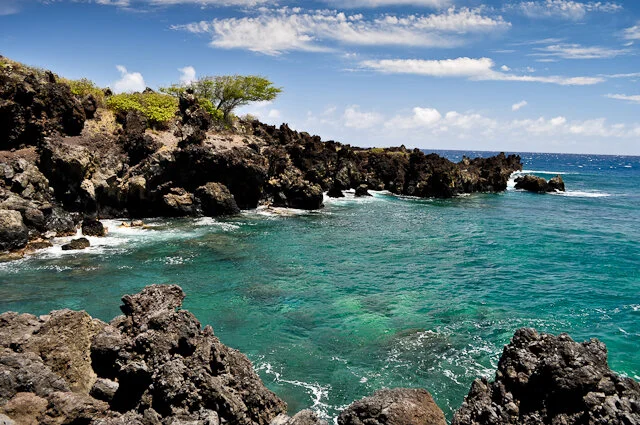 Waihe'e Refuge, Maui — Hawaiʻi Land Trust