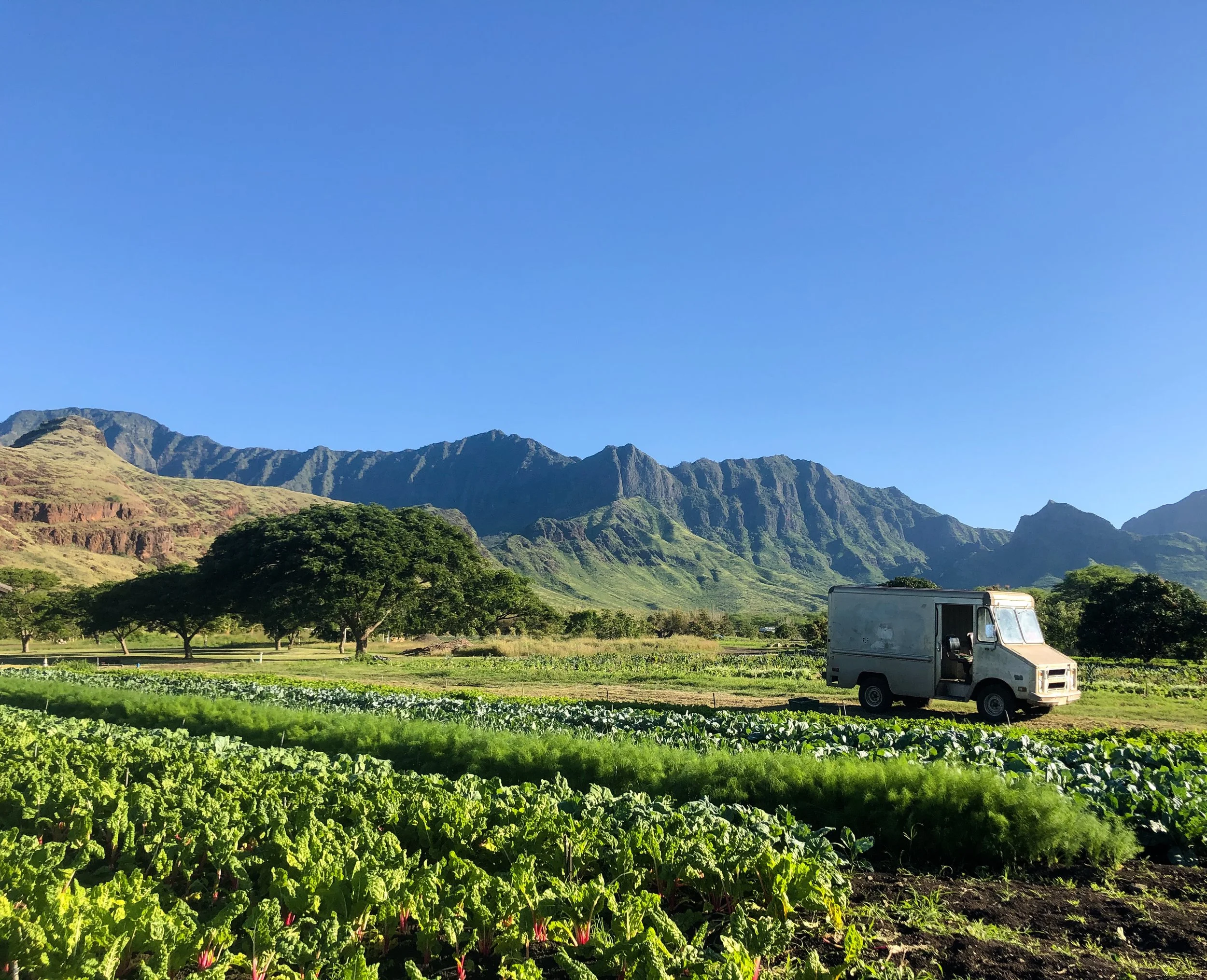 MAʻO Organic Farms — Hawaiʻi Land Trust