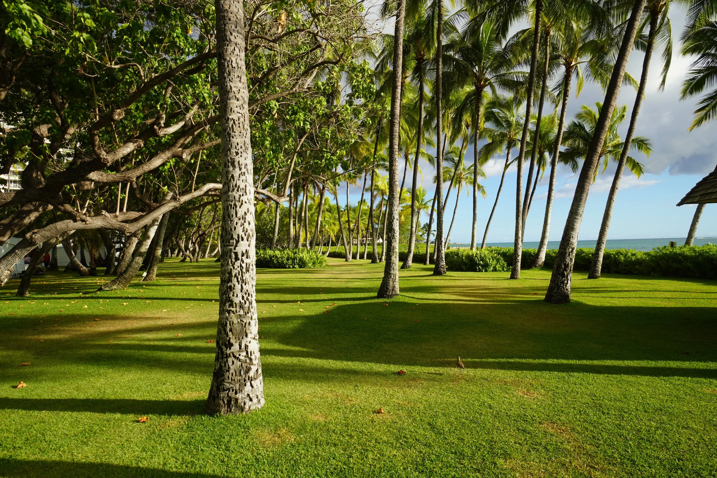 Hawaiʻi Land Trust