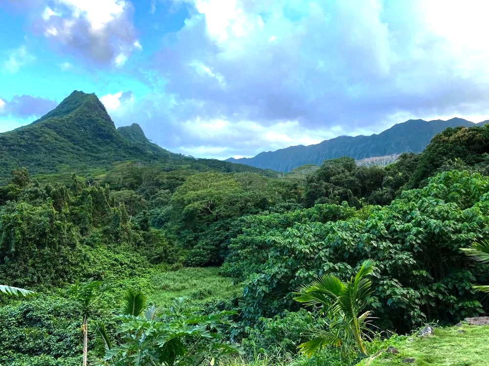 Hoihoi Maunawili — Hawaiʻi Land Trust