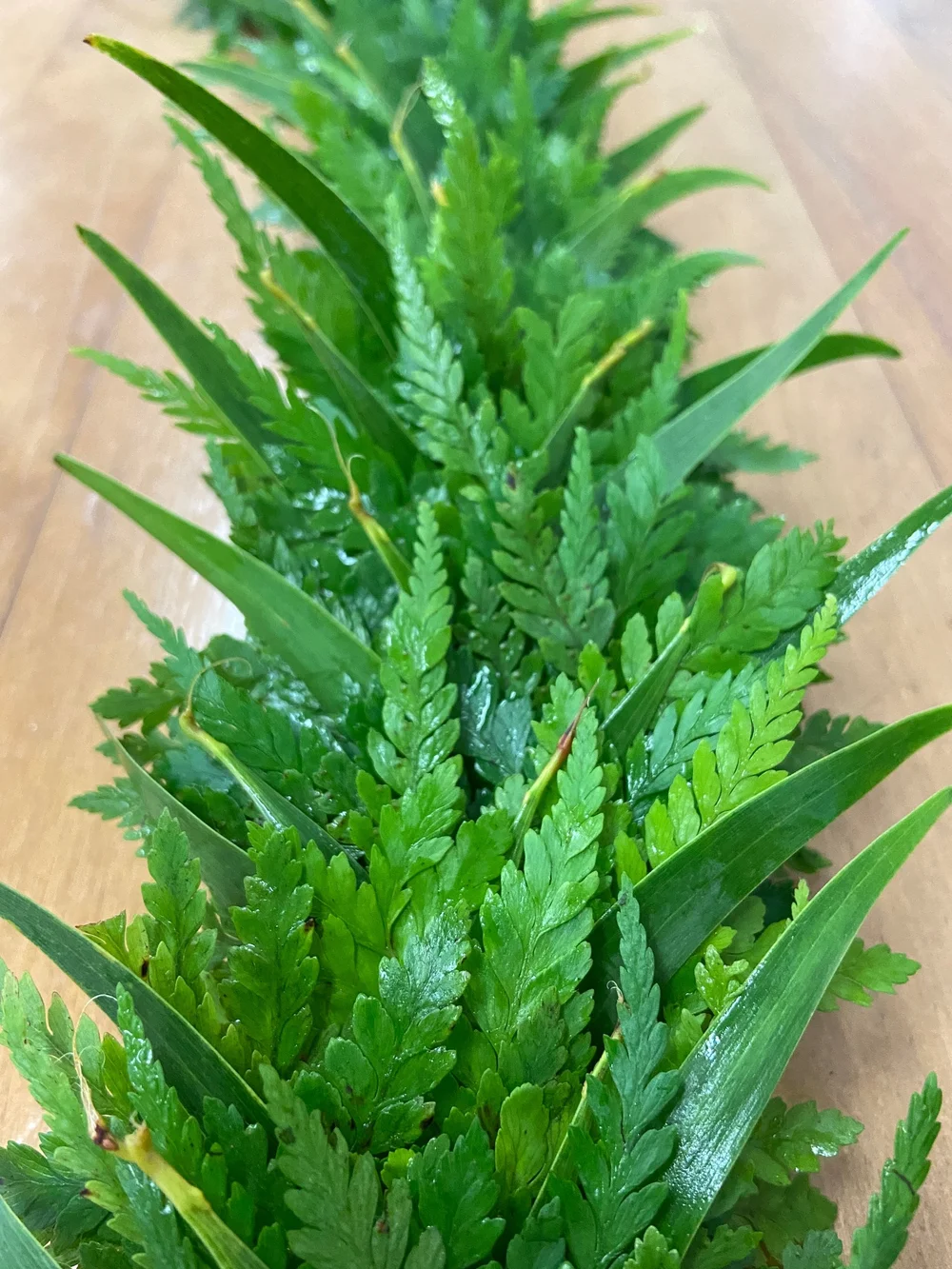 Lei and our Native Forests From an ʻŌlapa Perspective — Hawaiʻi Land Trust