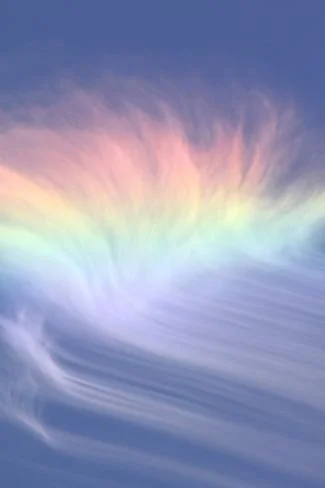 Blog — Jessica Seeley | Kinesiology | Newcastle, AU & Online