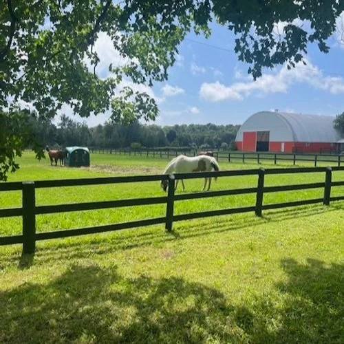 Piccadilly Acres Farm | Premier Horse Stables in Durham Region