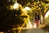 Zurich Life Insurance — Life Insurance Cover