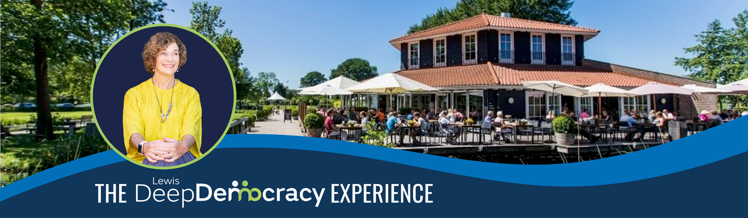 LDD Experience 2025 — Lewis Deep Democracy