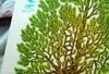 "LADDER TREE" Woodcut Print l Tugboat Printshop, Valerie Lueth ...