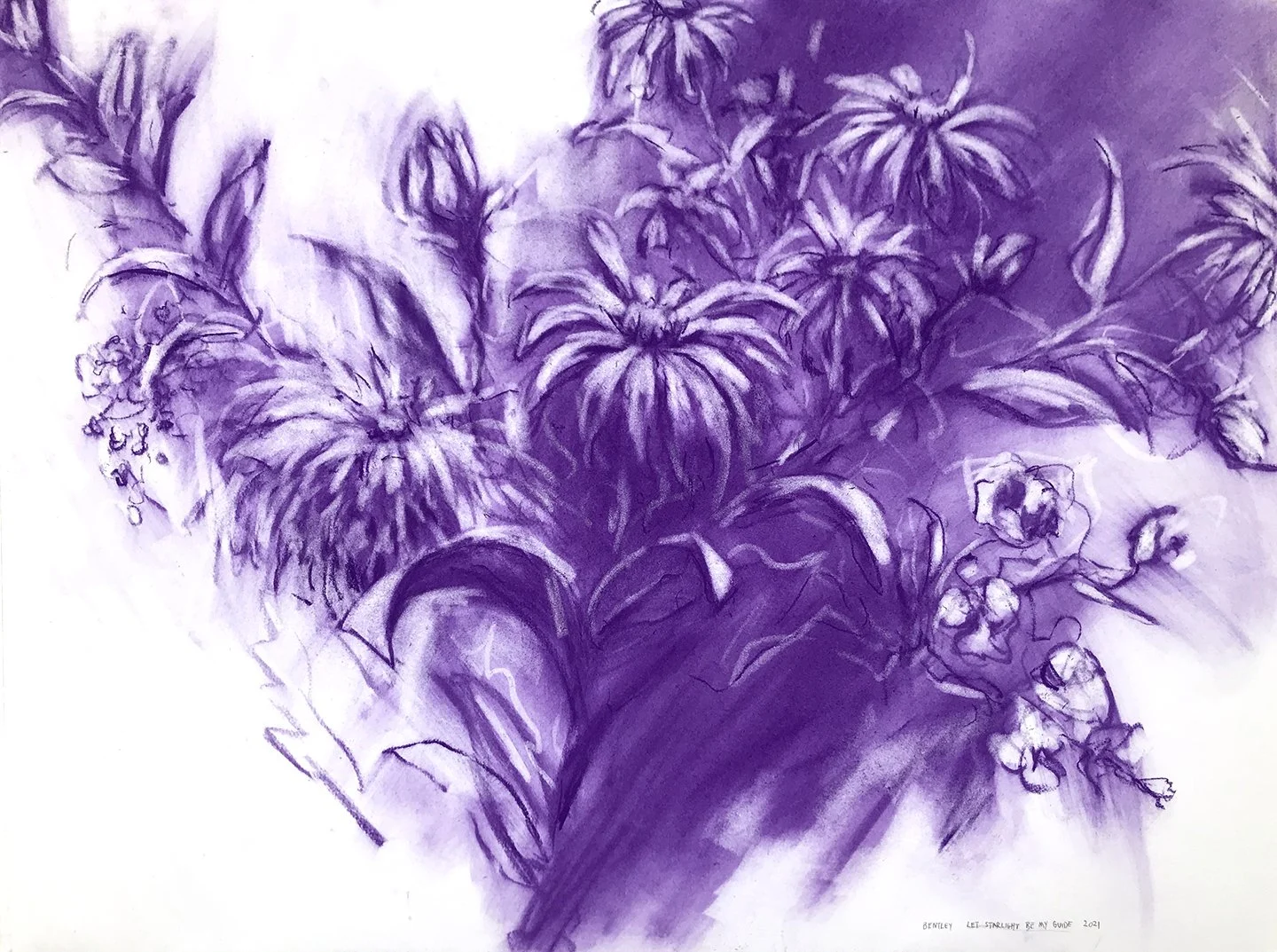 Florals — Allen Bentley Studio