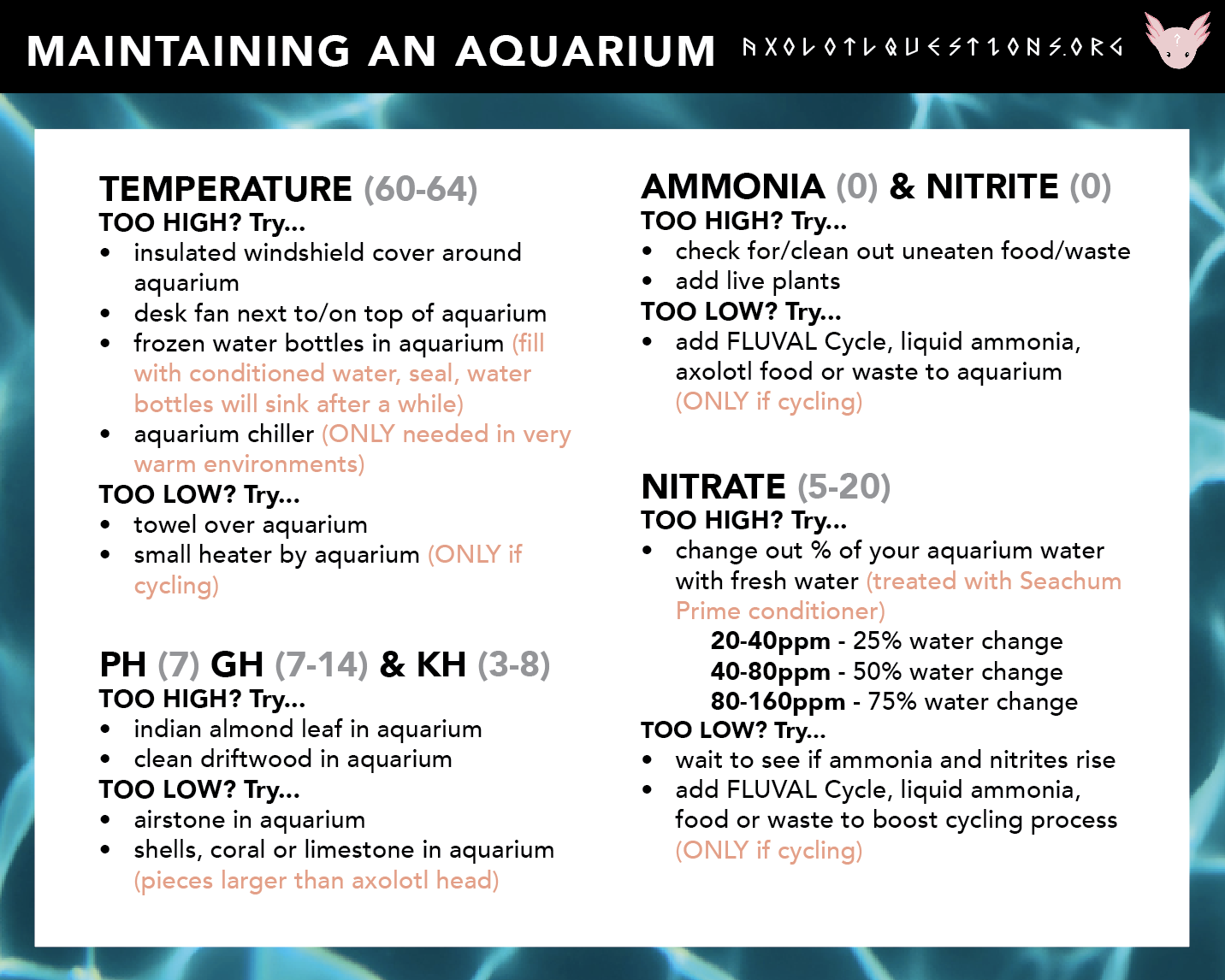 Resources | Axolotl Questions — axolotlquestions.com Resources | Axolotl Questions — axolotlquestions.com
