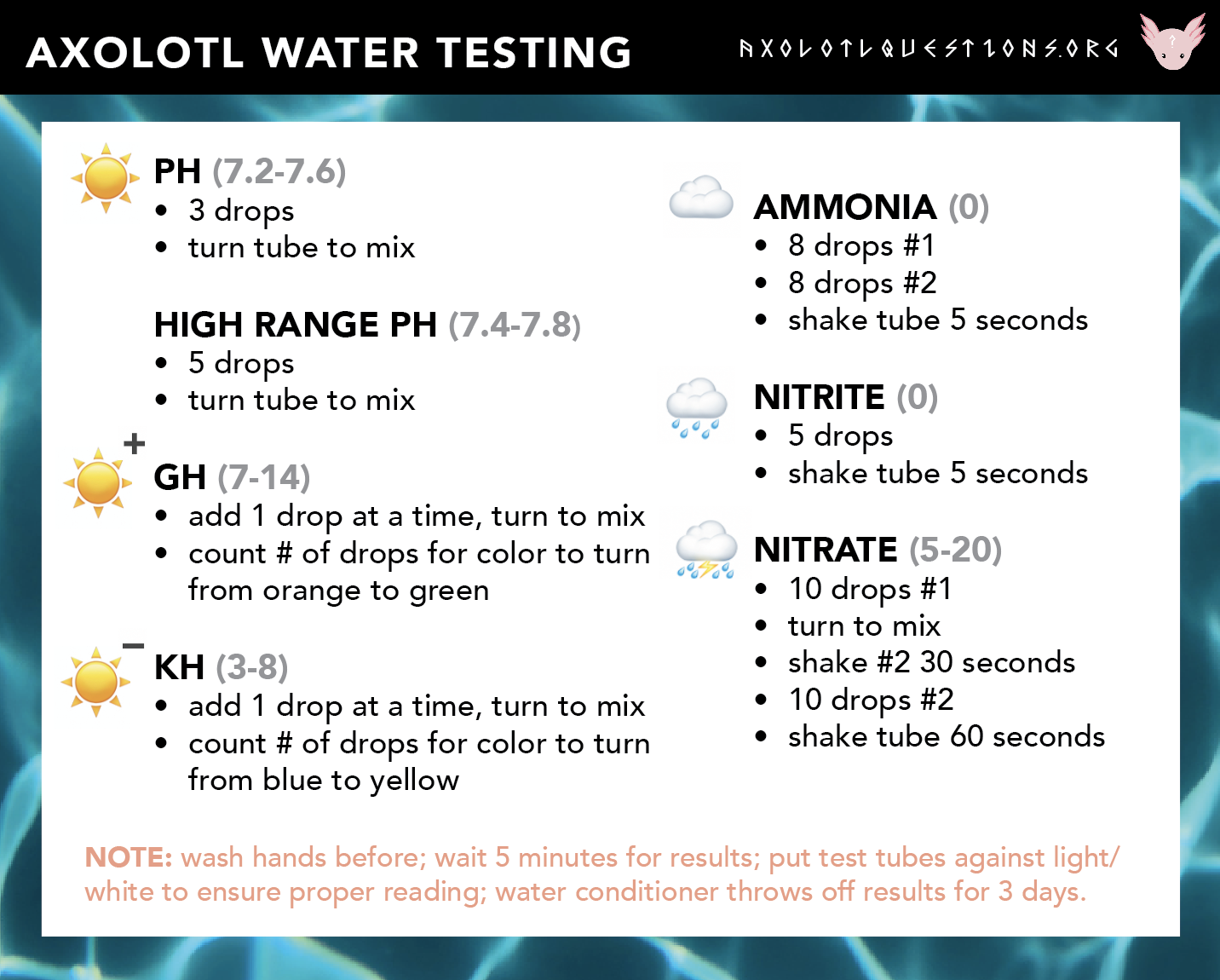 Resources | Axolotl Questions — axolotlquestions.com Resources | Axolotl Questions — axolotlquestions.com
