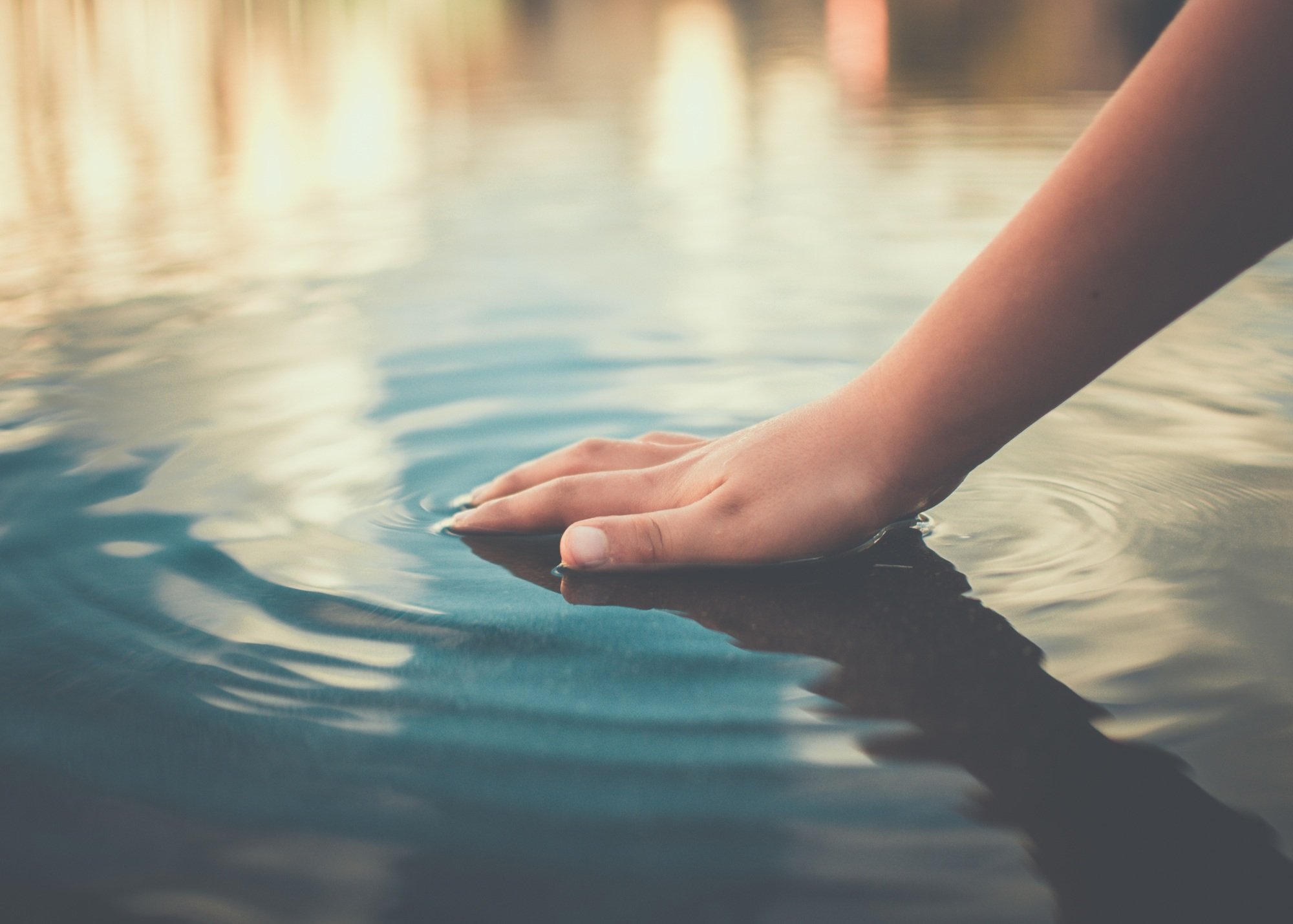 RESOUND: Safe + Sound Protocol Pods — wildbody