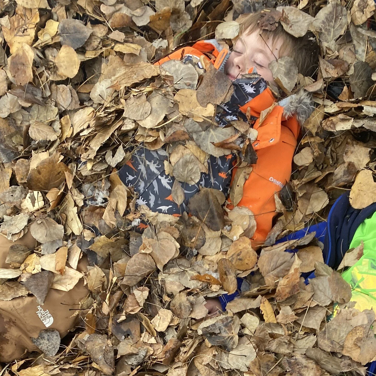 CCES Calgary Nature Kindergarten