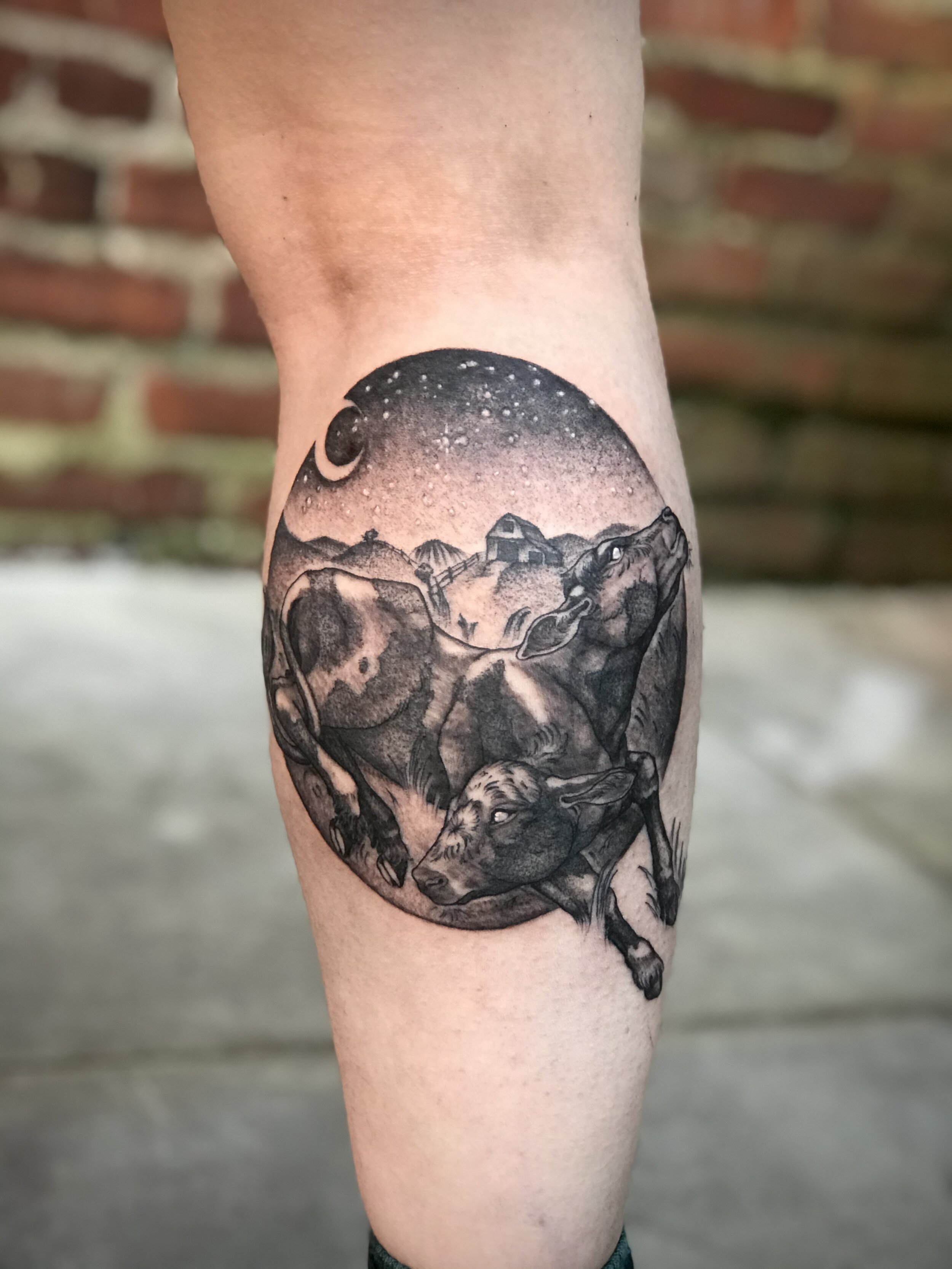 v i t r i o l : fine art & tattoo
