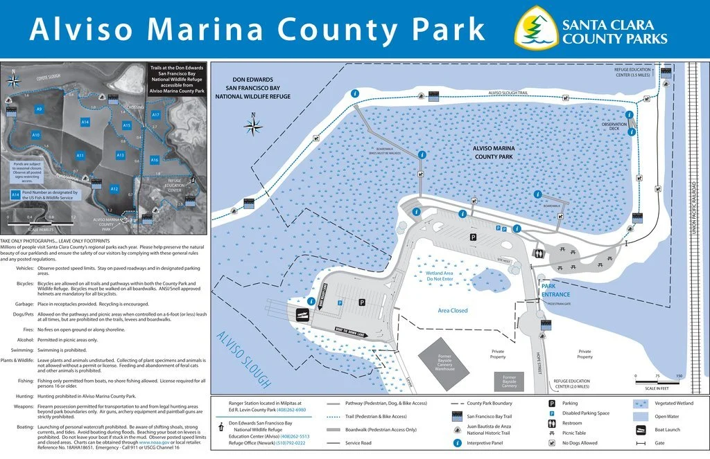 CP Mentorship Summer Program