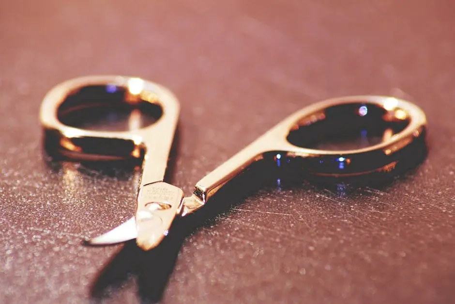 8 Tips to Maintain the Sharpness of Your Premium Scissors — NAKABAYASHI