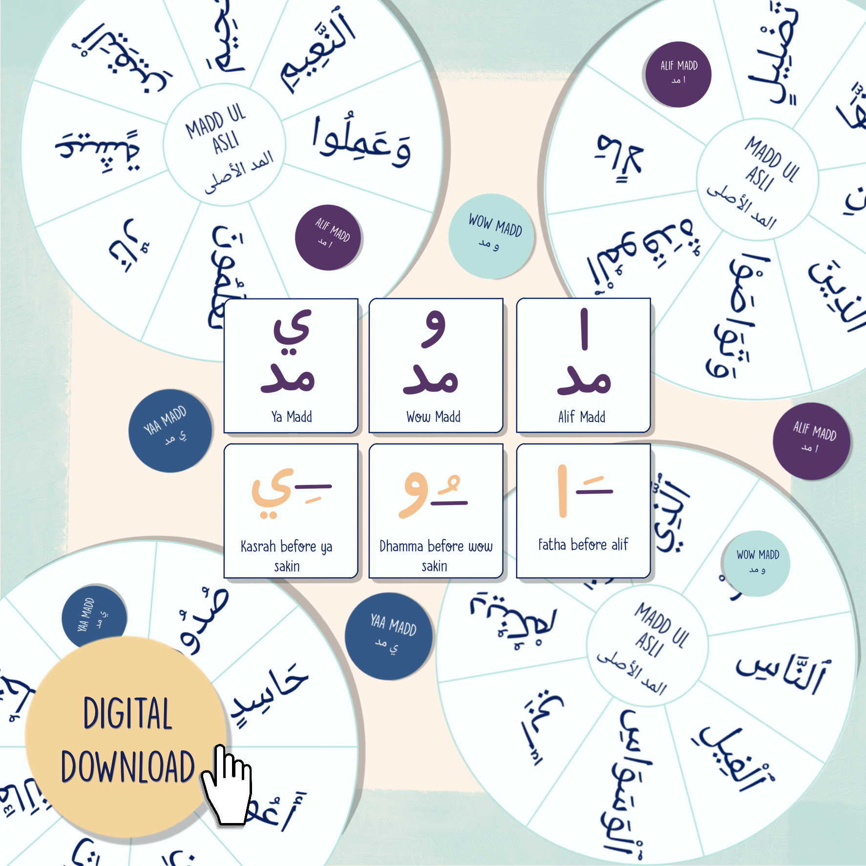 The Tajweed Bundle — Al Qasas Learning