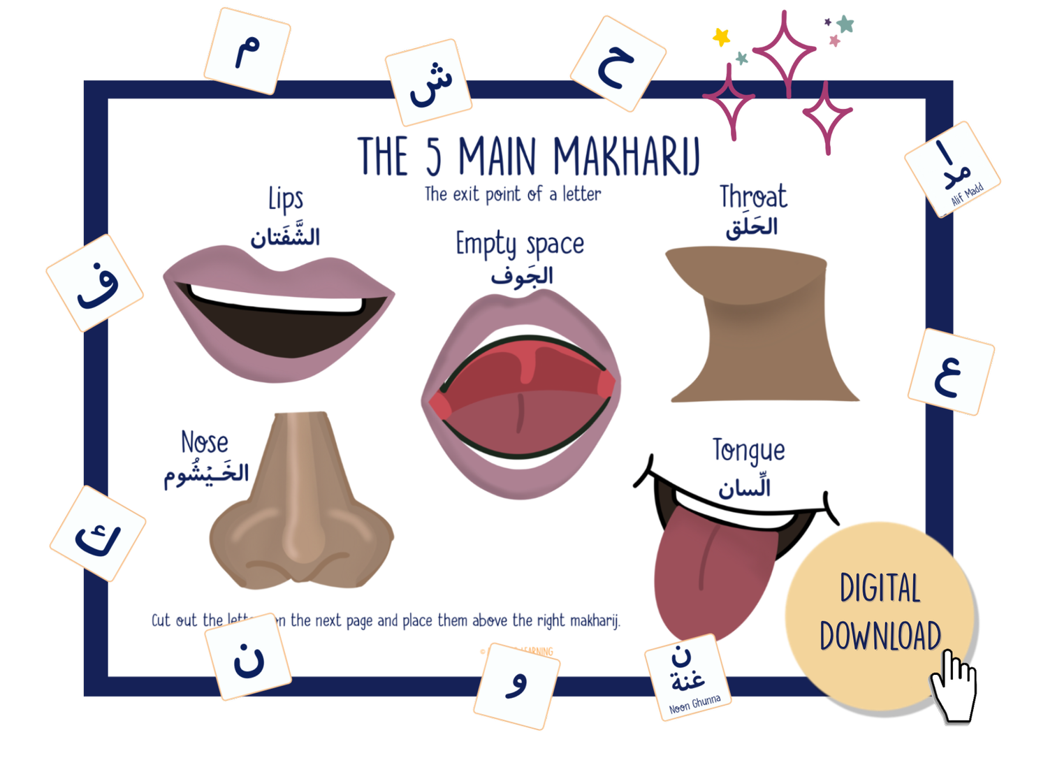Free Tajweed Resources — Al Qasas Learning