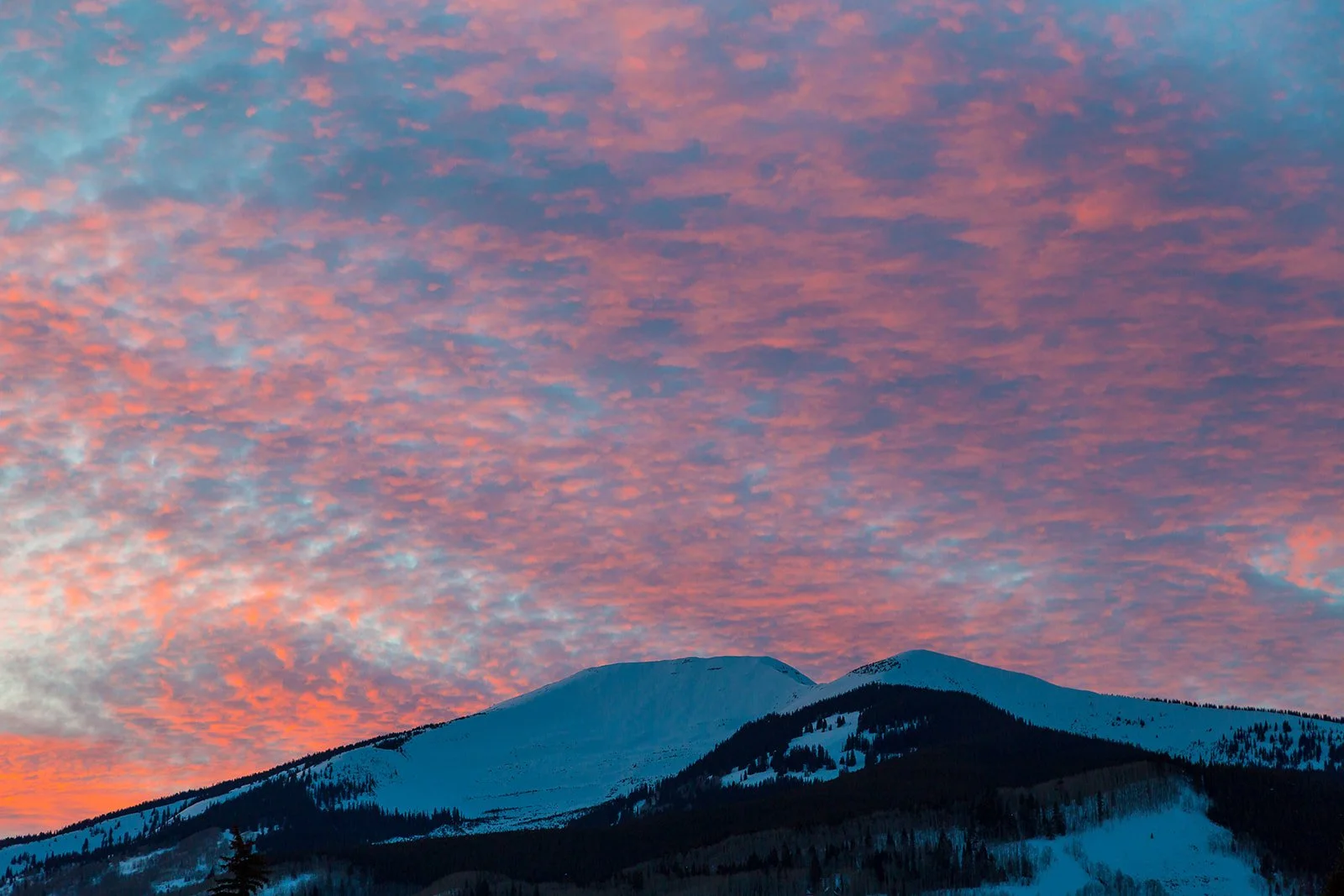 High Country Conservation Advocates