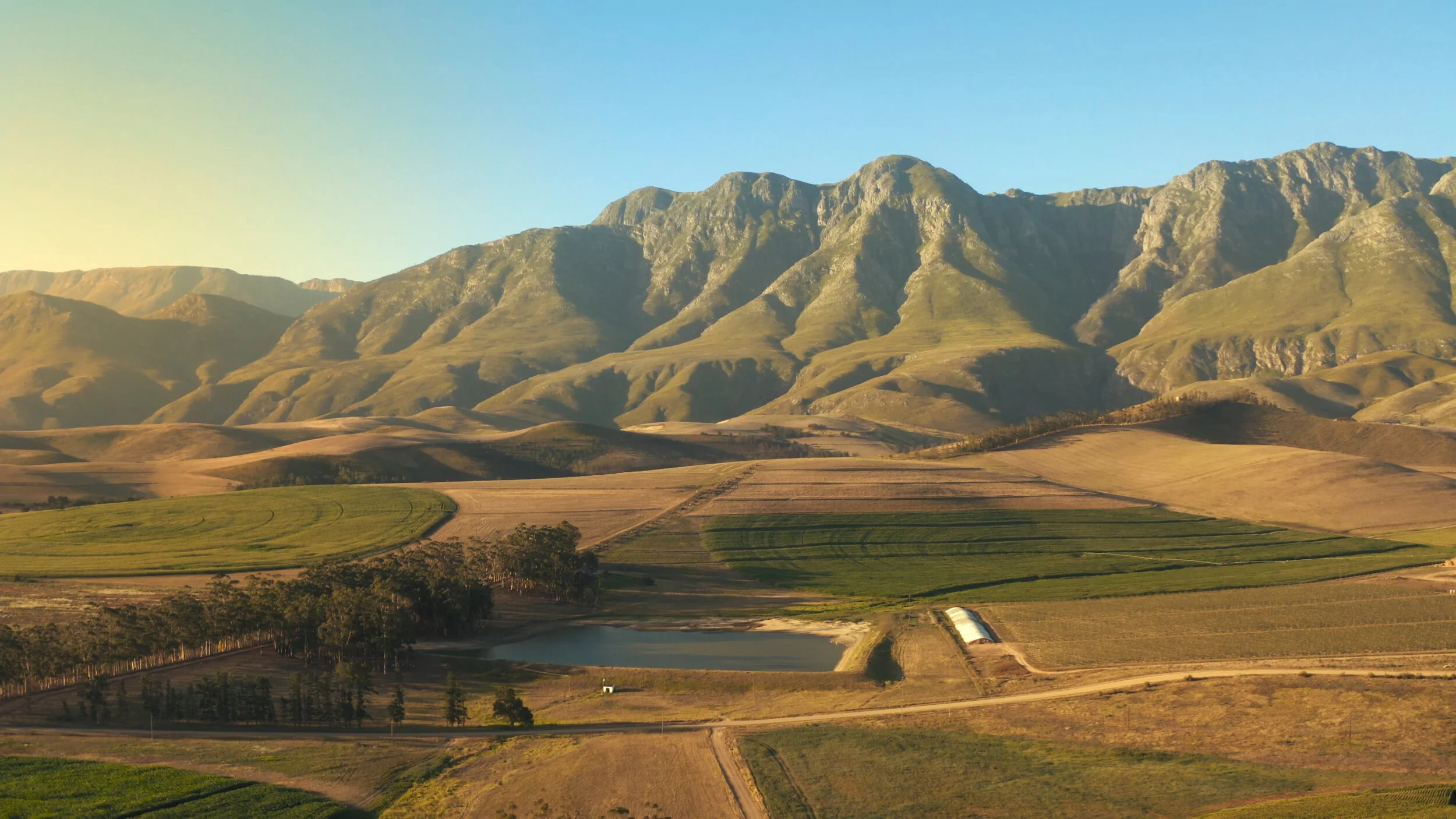 Steak Done Right. Sustainable, Cultivated Steaks | Aleph Farms