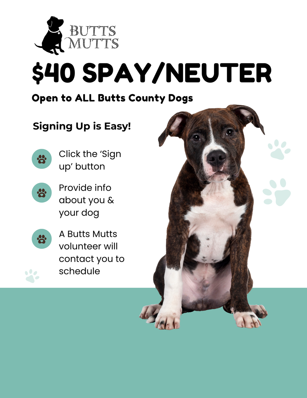 Low Cost Spay Neuter Info — Butts Mutts