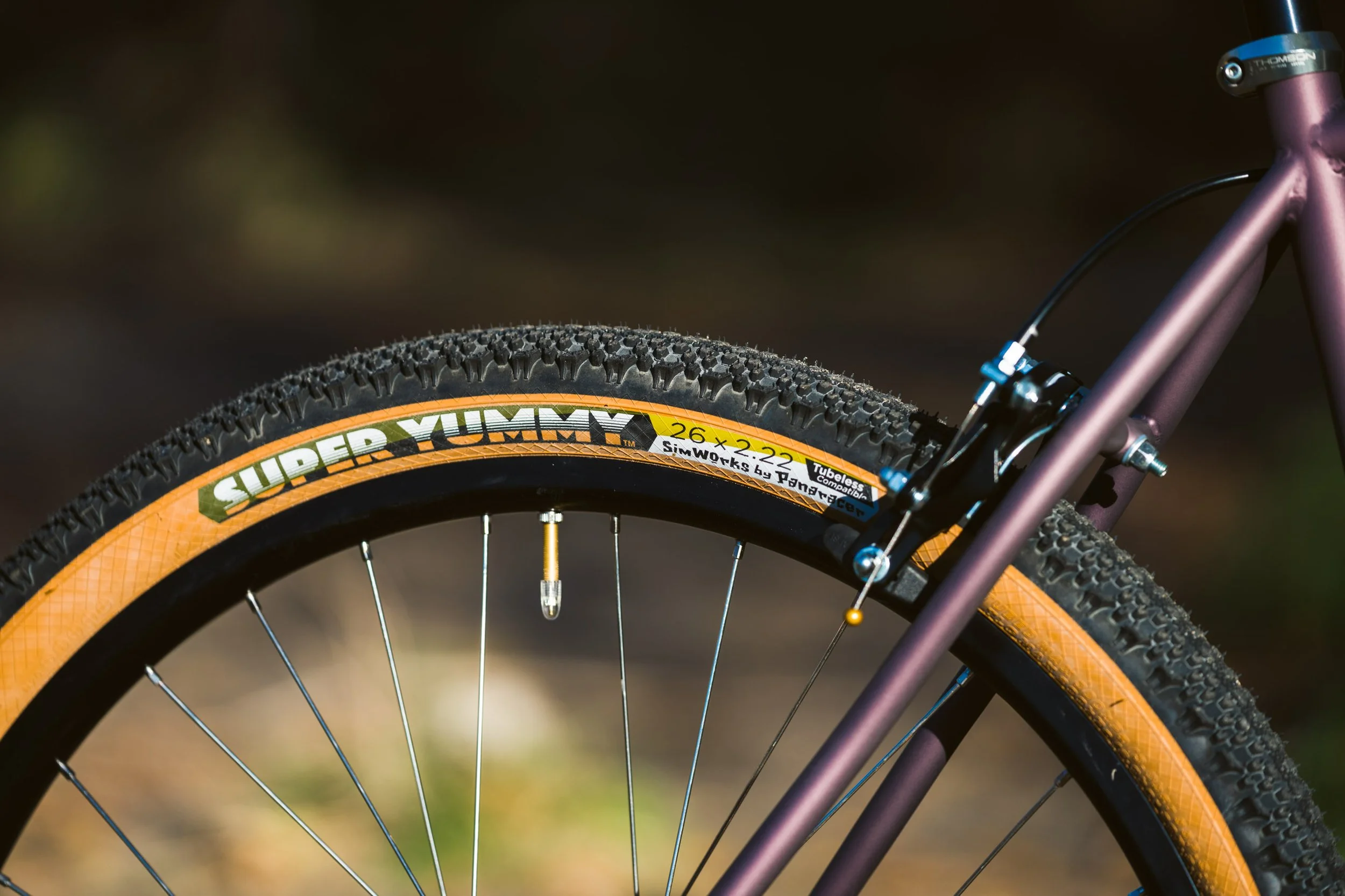 Tyler’s Tracklocross Build — PINE