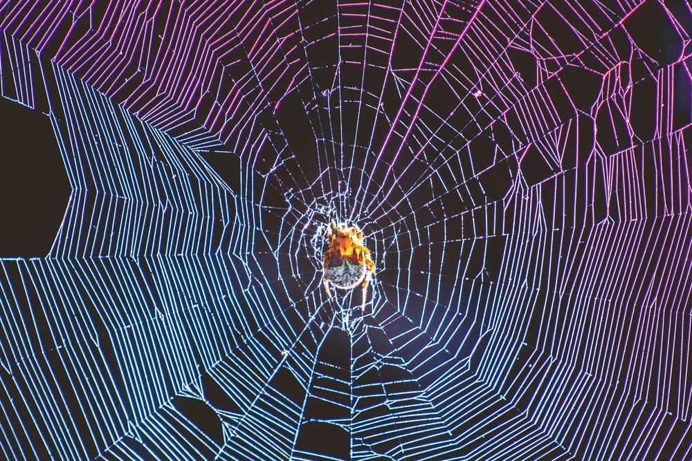 Spiderman Suit Web Pattern