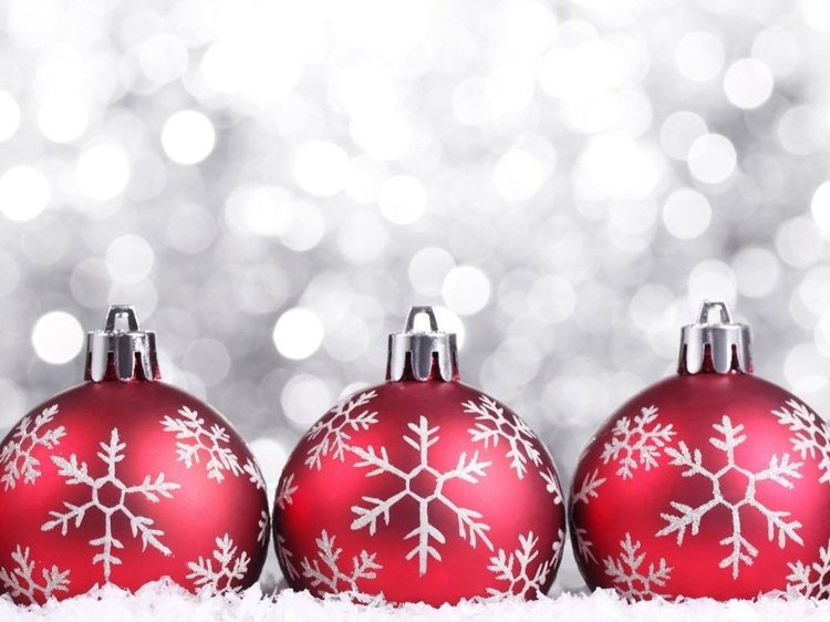 The Emily Jordan Foundation | Day services for adults with learning ...