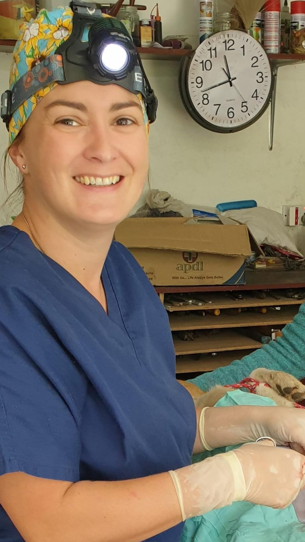 Interview With Vet Susan Bell — Four Steps to Freedom