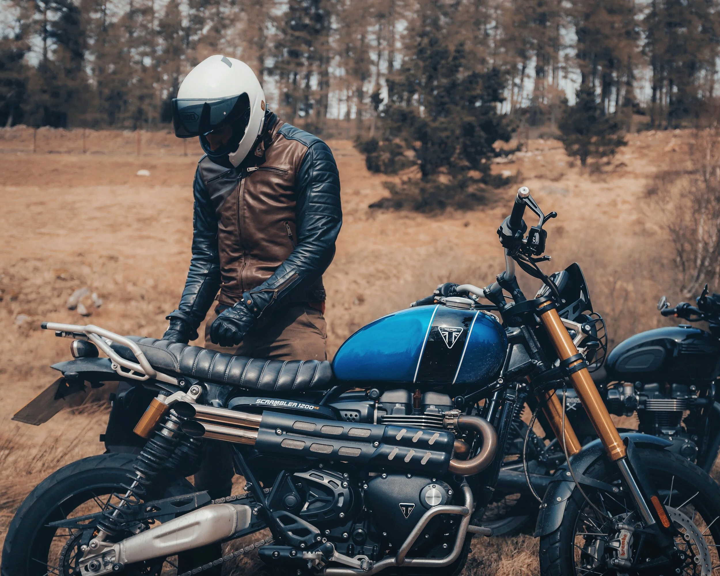 Tom Hurley - Custom Seats