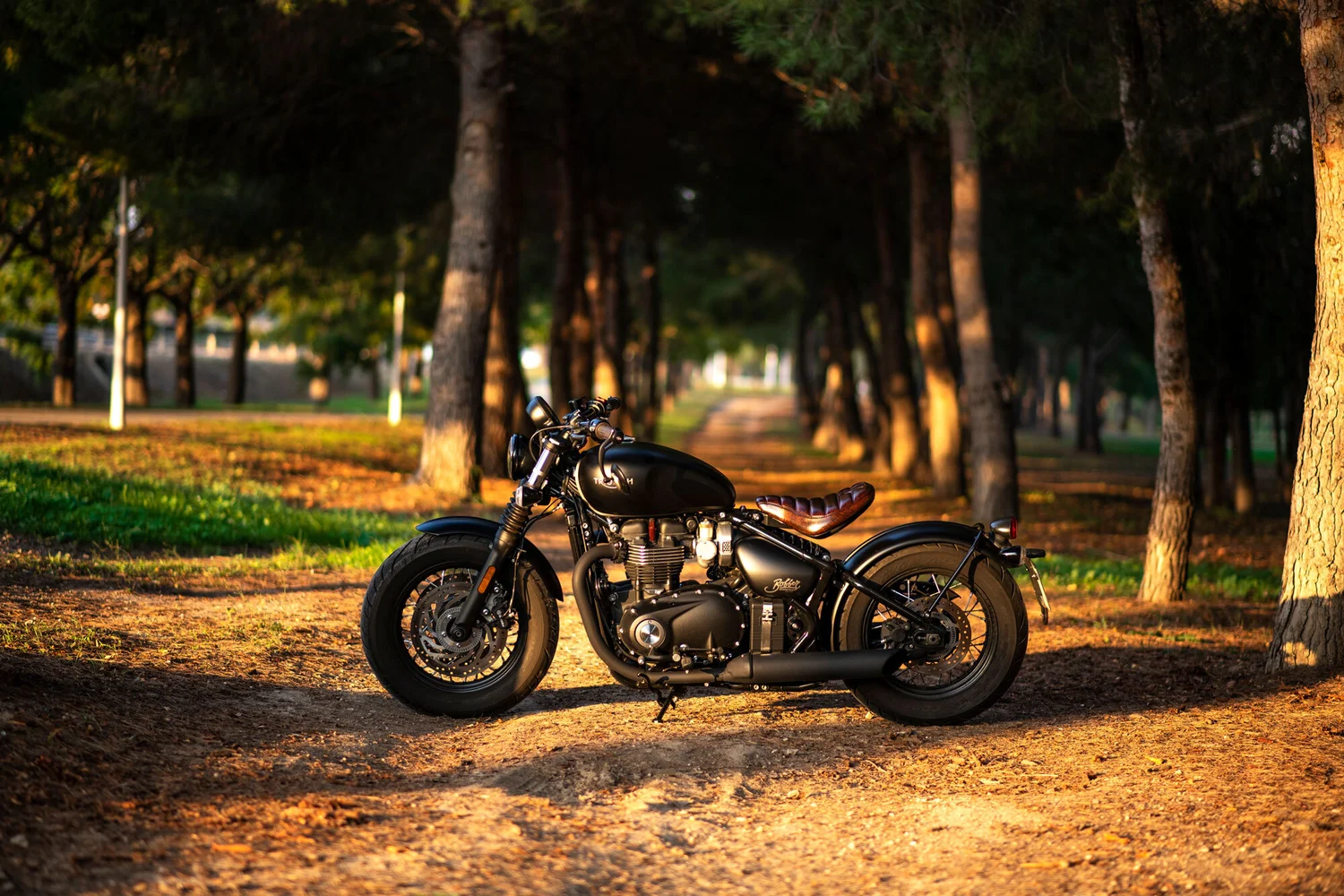 Tom Hurley - Custom Seats