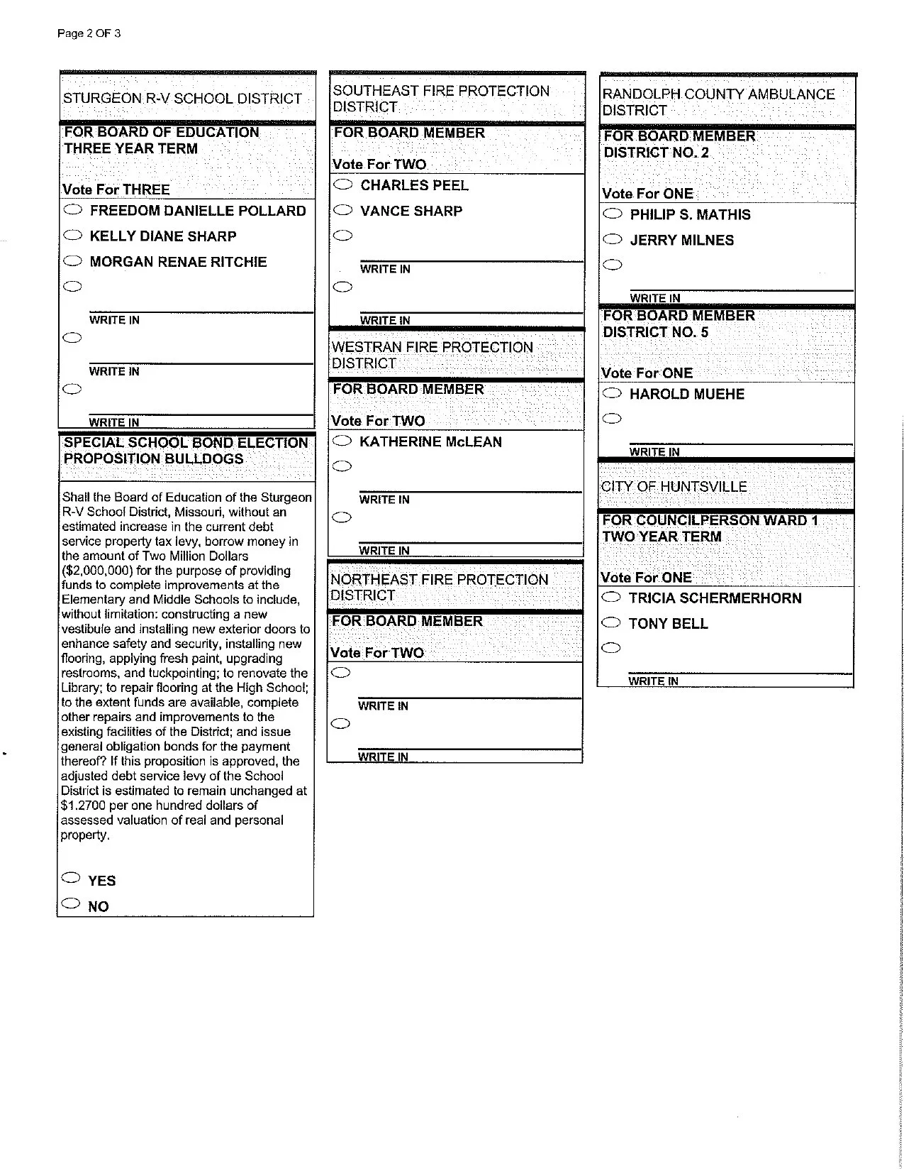 Sample Voting Ballot Template