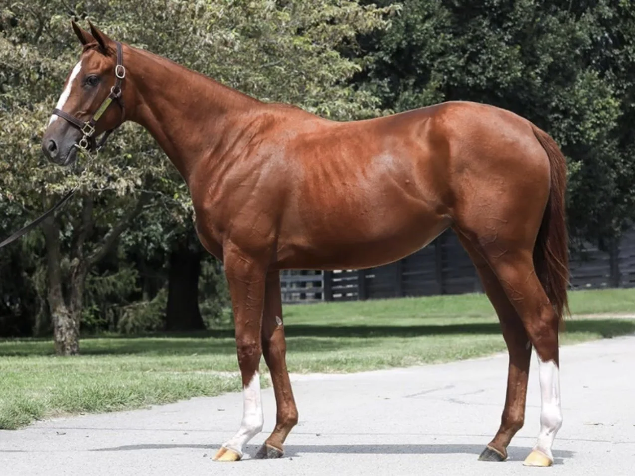 Blog + News — Mill Ridge