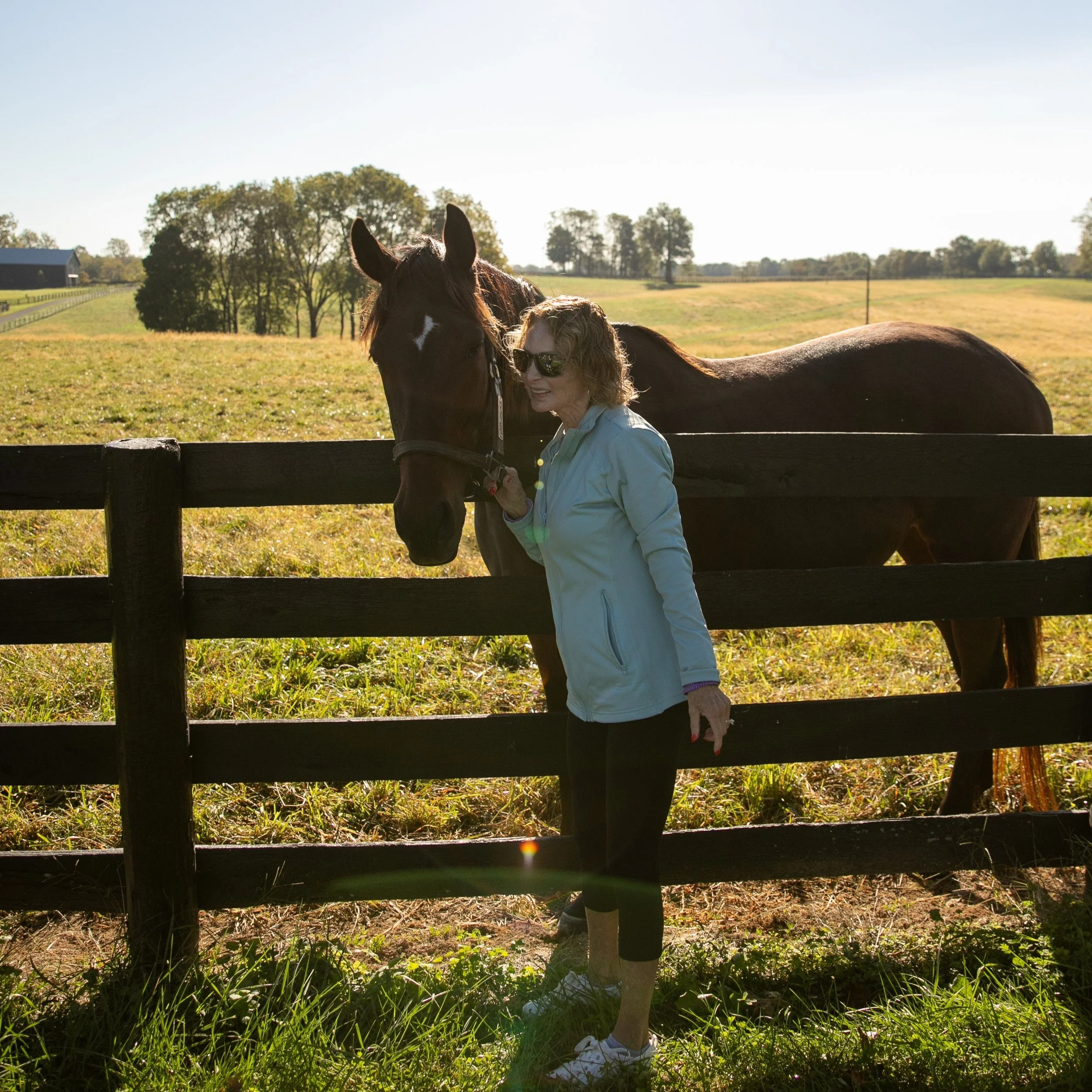 Tours + Shop — Mill Ridge