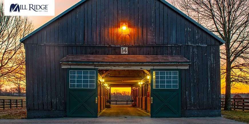Lexington, Kentucky horse farm tours — Mill Ridge