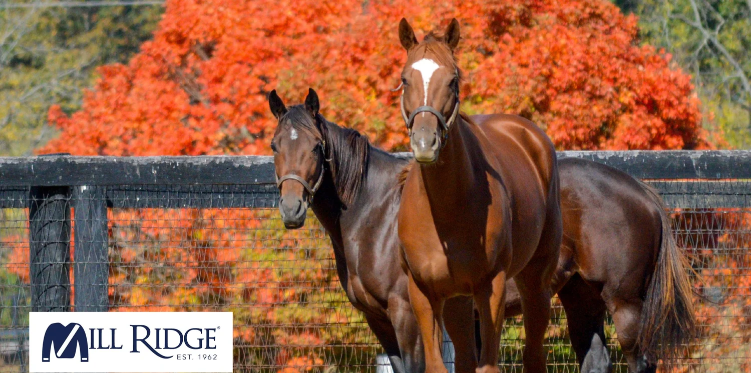 Mill Ridge Farm: Champion Racehorses, Scenic Landscapes, Deep Tradition ...
