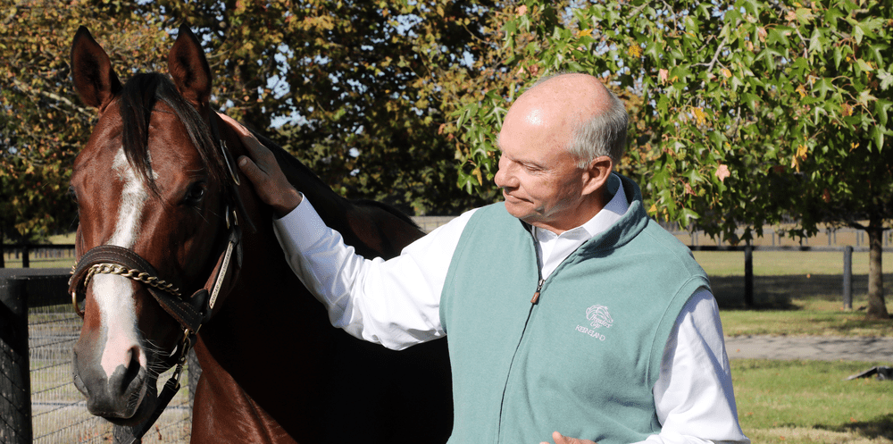 The Art of Mating: Understanding Thoroughbred Bloodlines from Kentucky ...