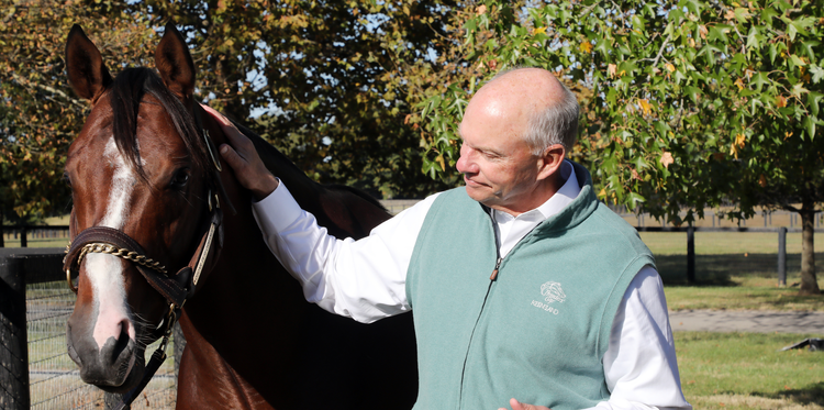 The Art of Mating: Understanding Thoroughbred Bloodlines from Kentucky ...
