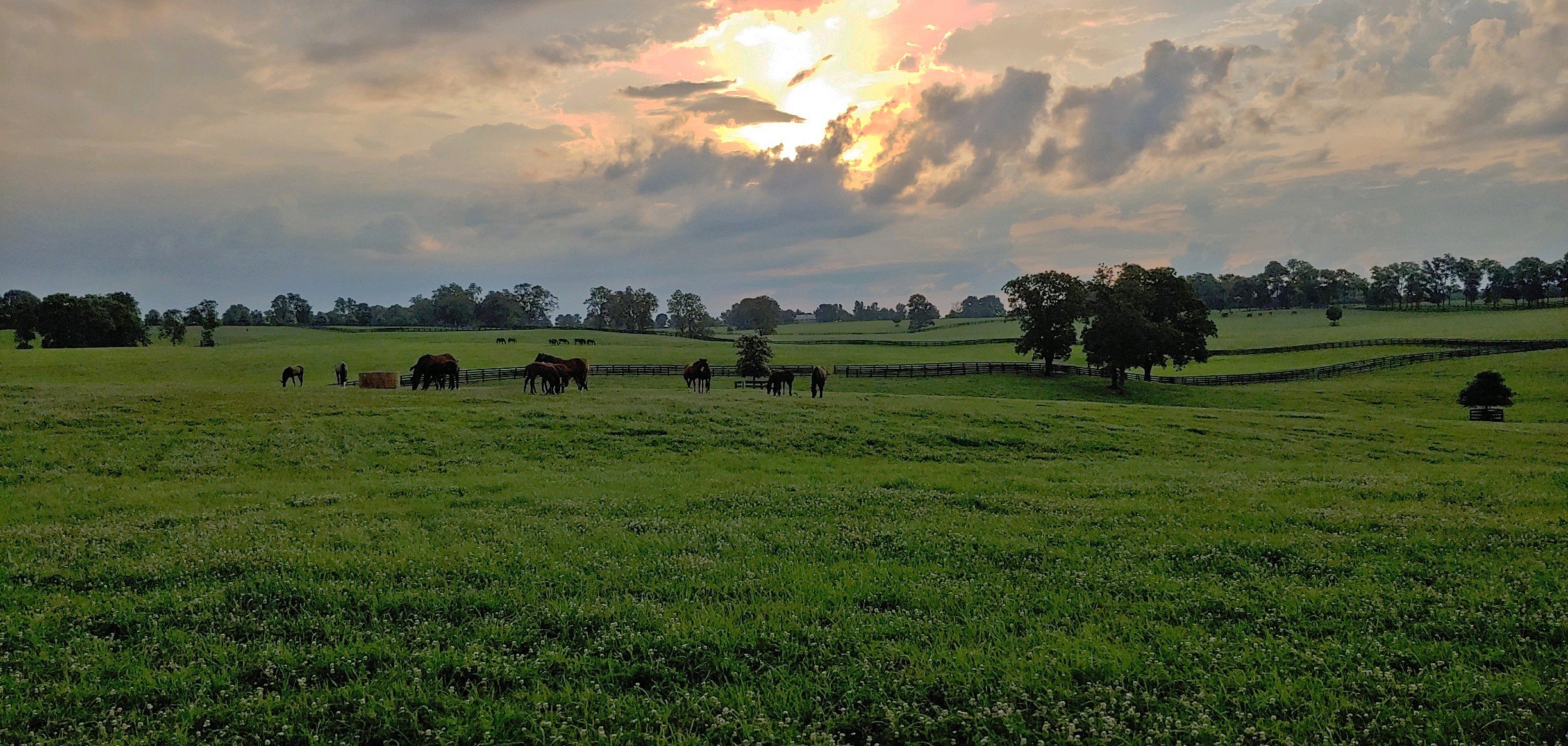 Horse Farms in Kentucky — Mill Ridge