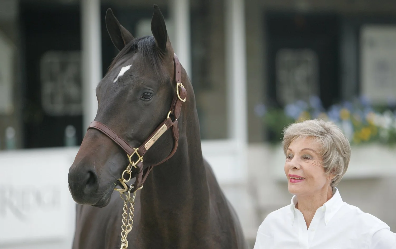 Our History — Mill Ridge