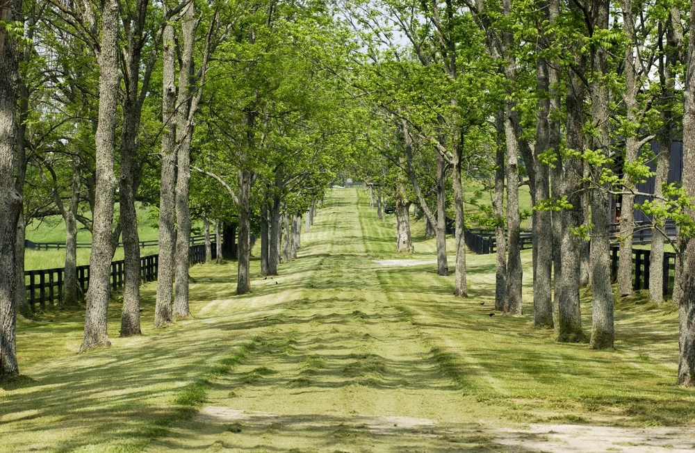 Sales — Mill Ridge