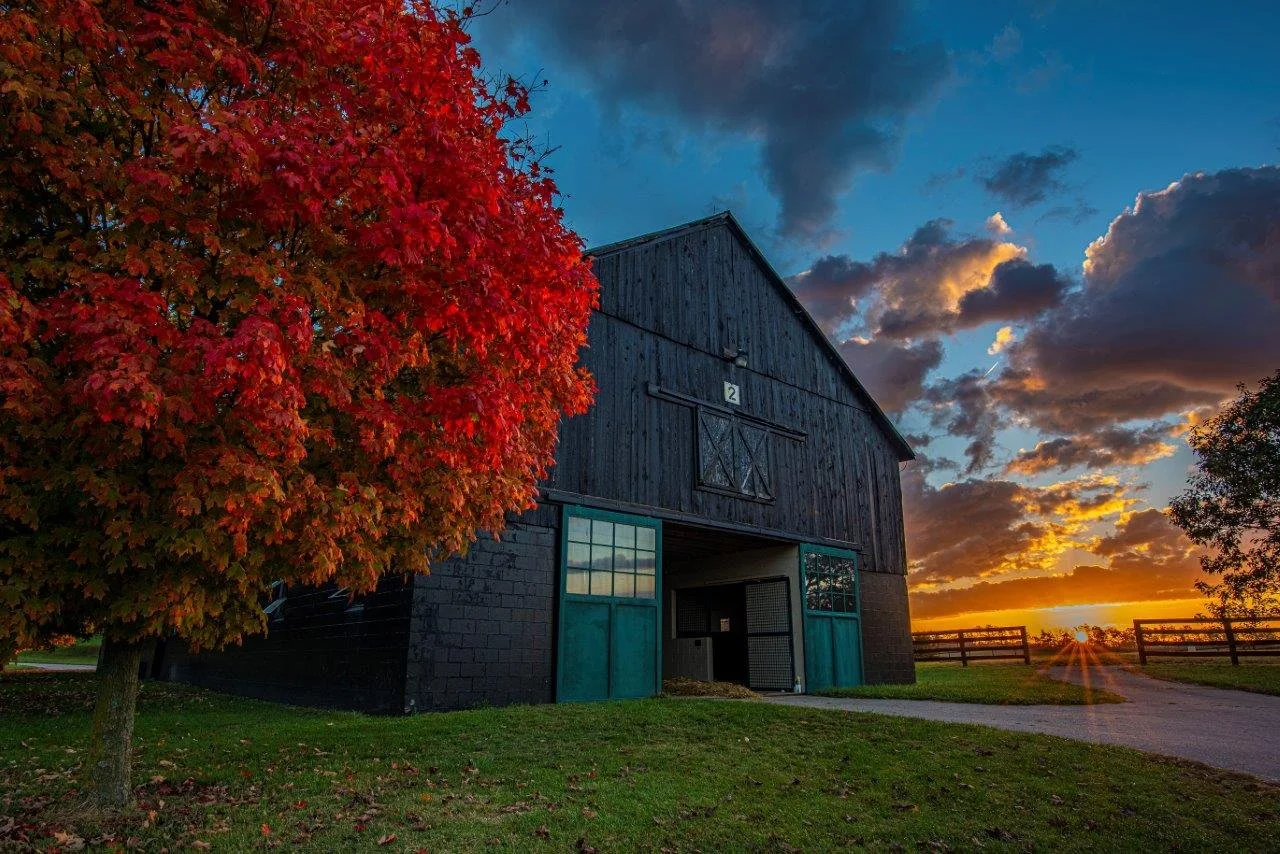 Our Services — Mill Ridge