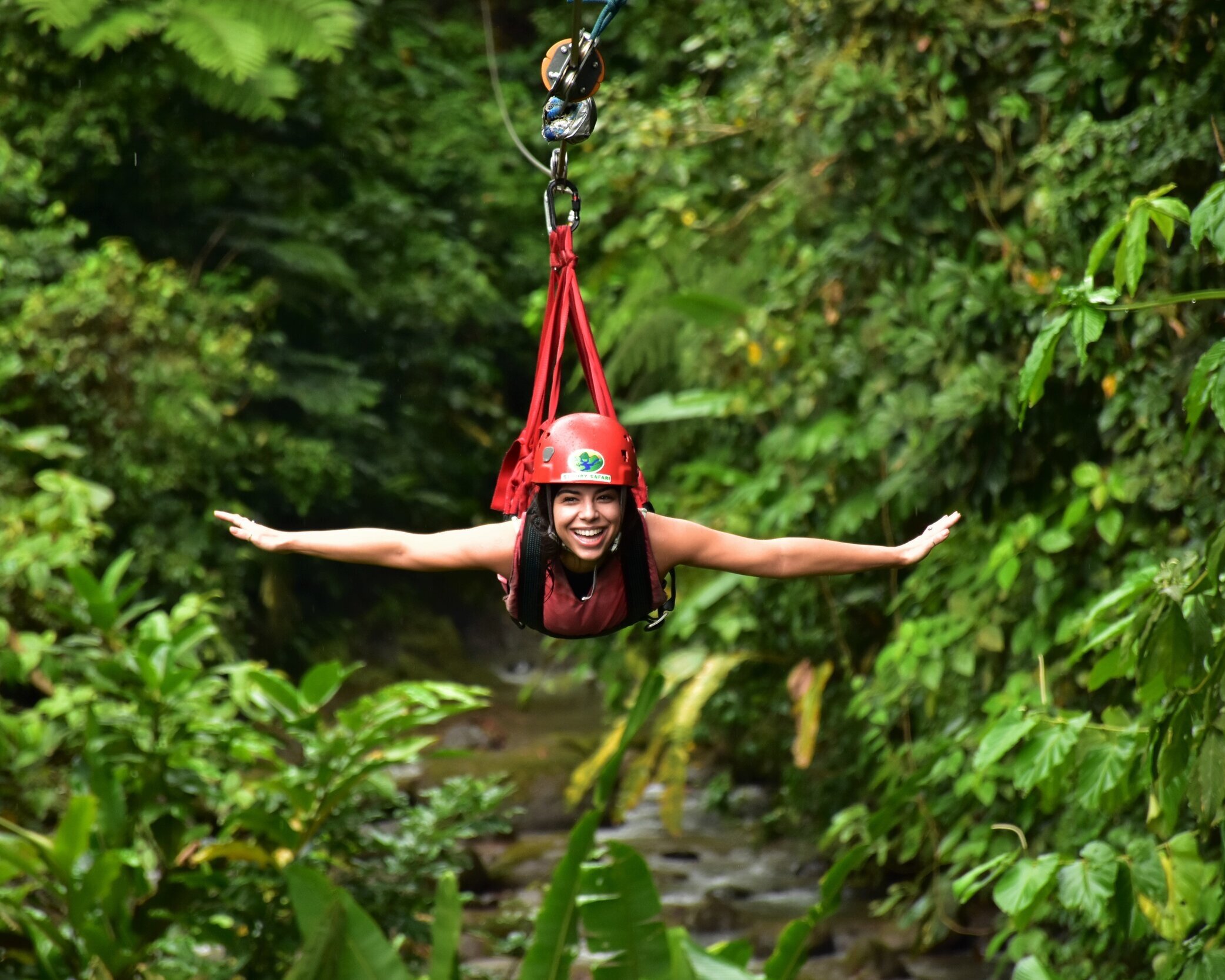 Tours — Blue Horizon