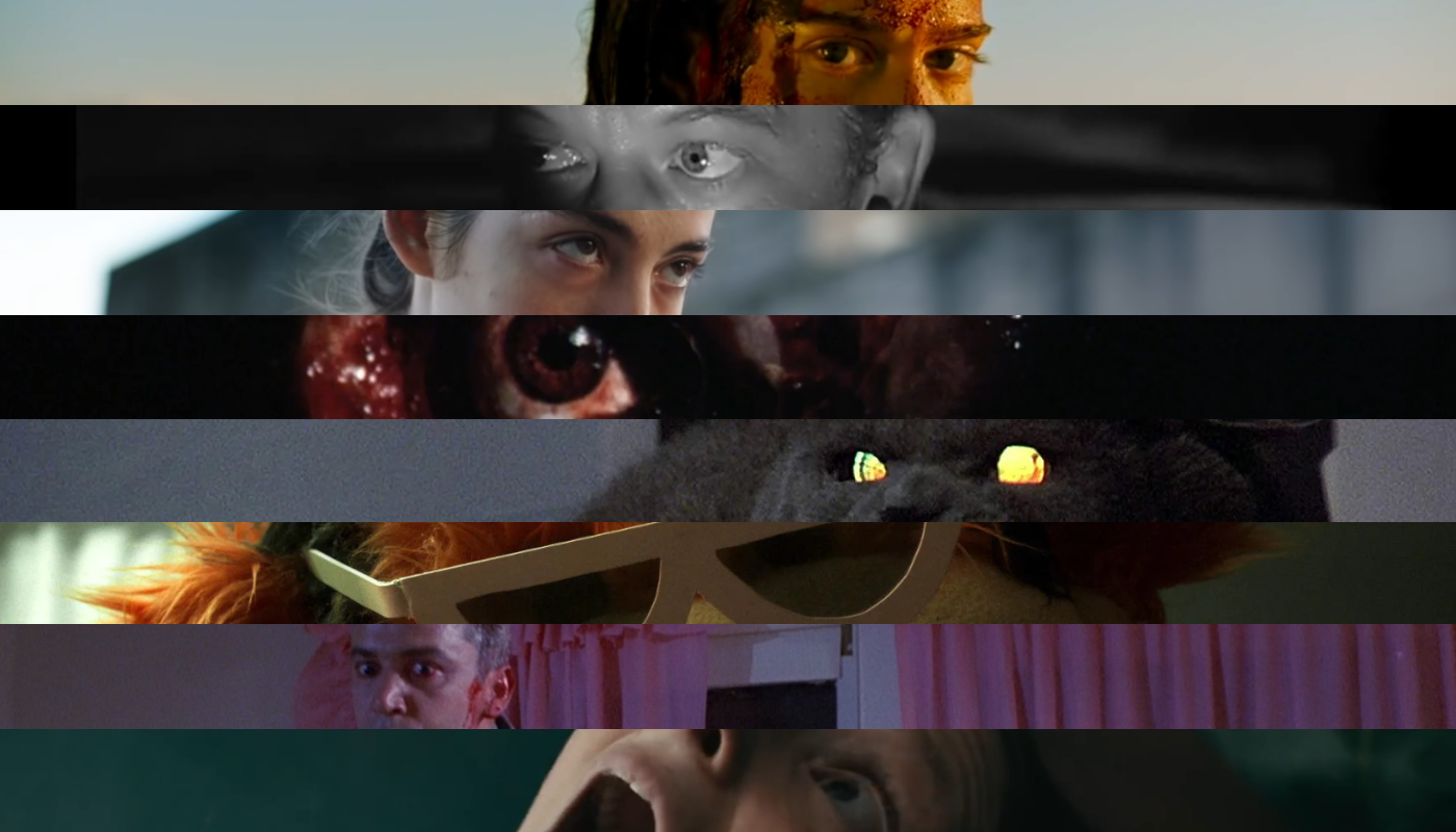 Provoke Film Festival 2021 — The Cinemagic Theater