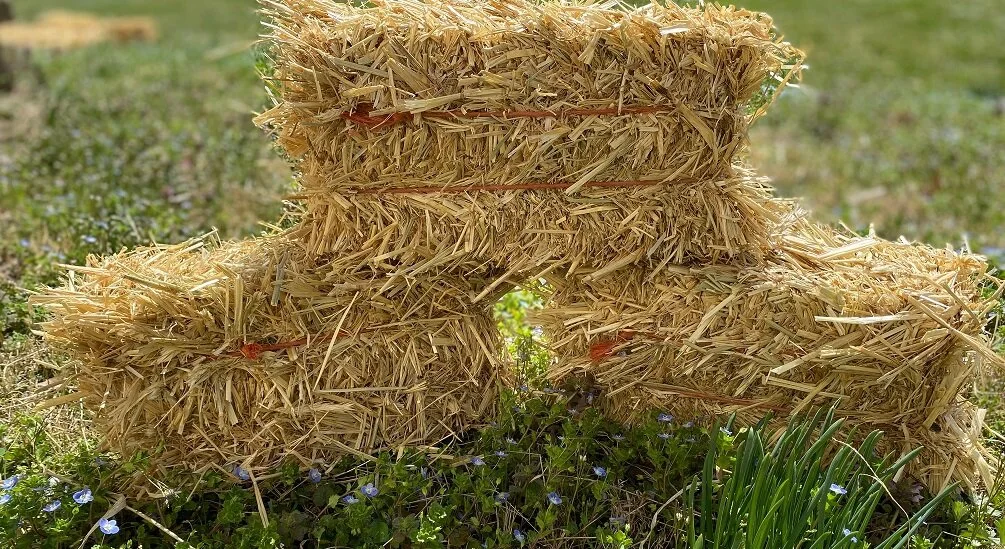 Mini Bales — Deer Run Hay Co. & Cattle