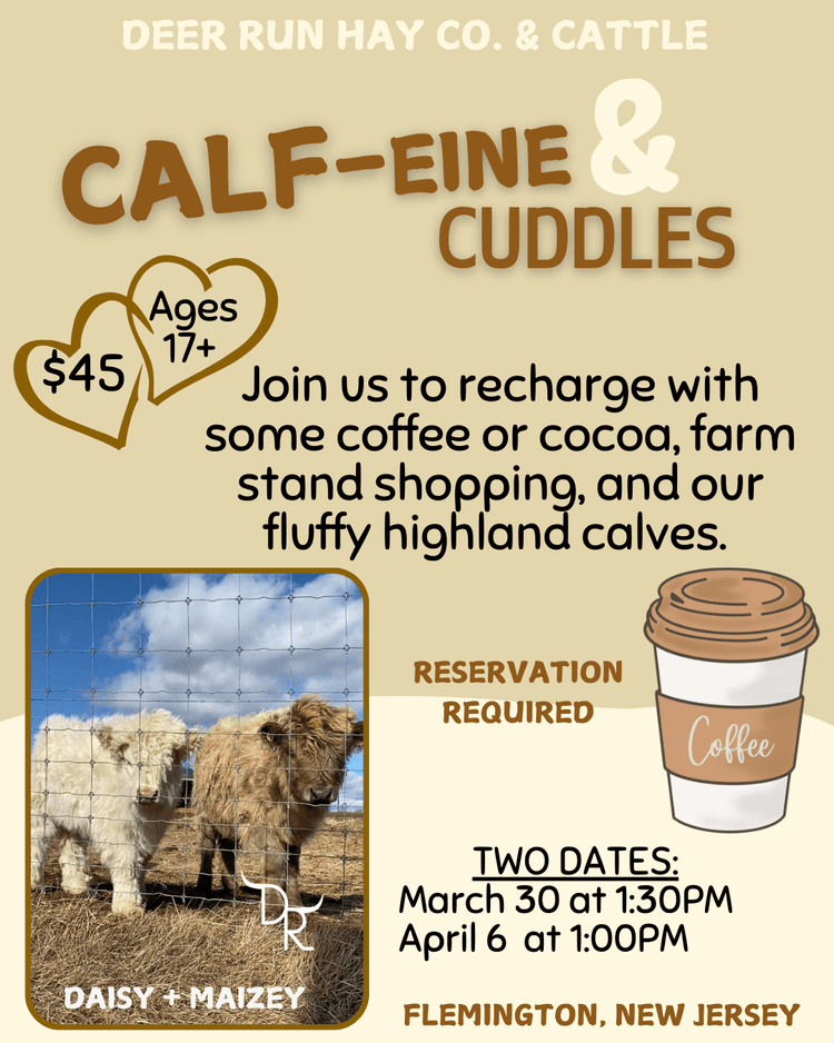 Farm Experiences — Deer Run Hay Co. & Cattle