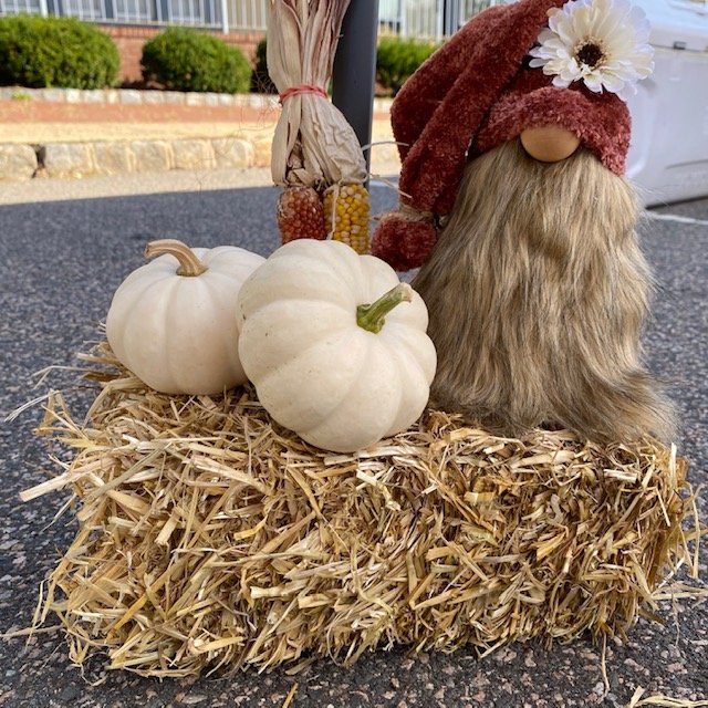 Mini Bales — Deer Run Hay Co. & Cattle